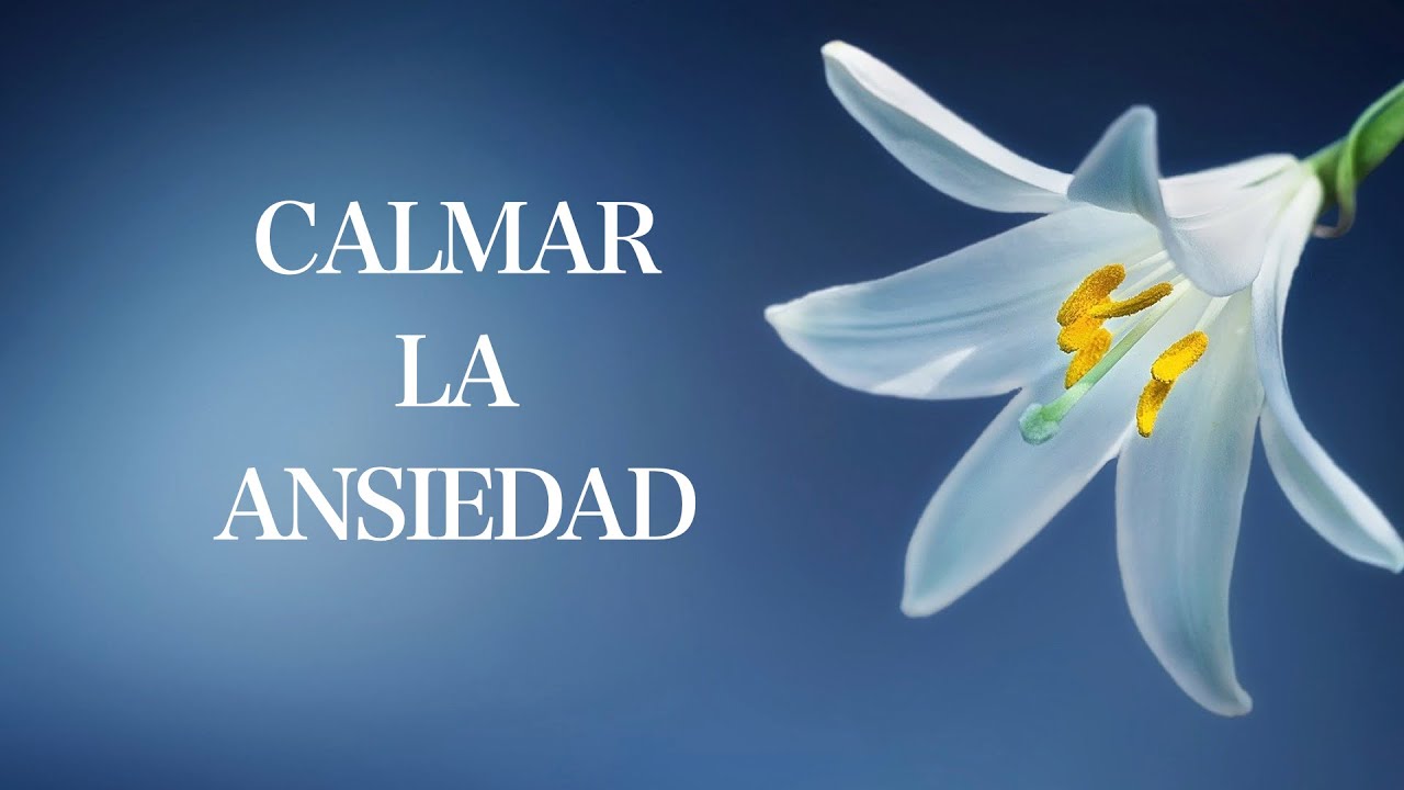 Meditación Guiada Una Herramienta Efectiva Para Aliviar La Ansiedad